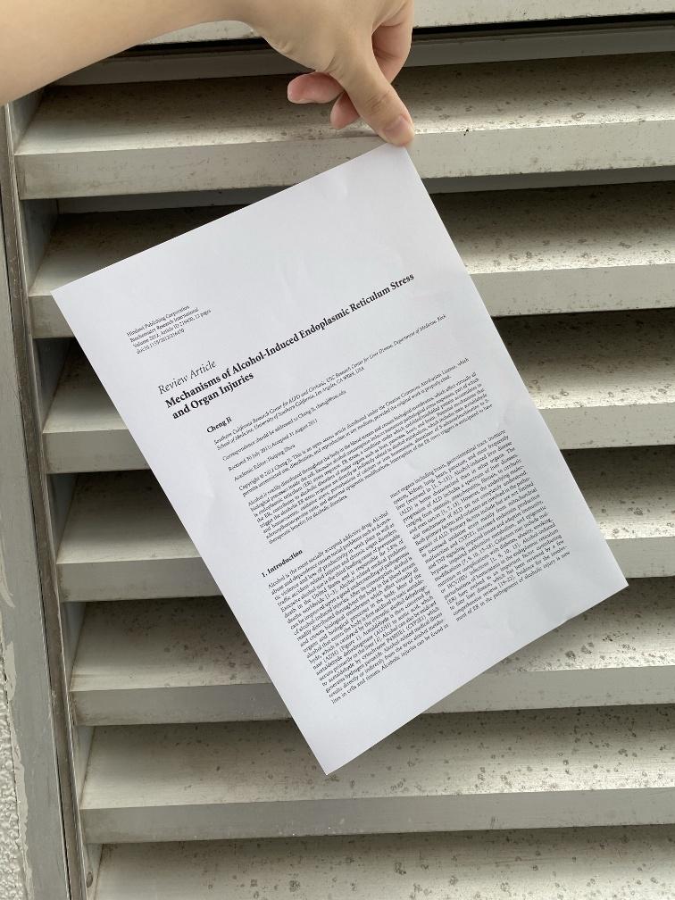 doc_seg Instance Segmentation Model by what