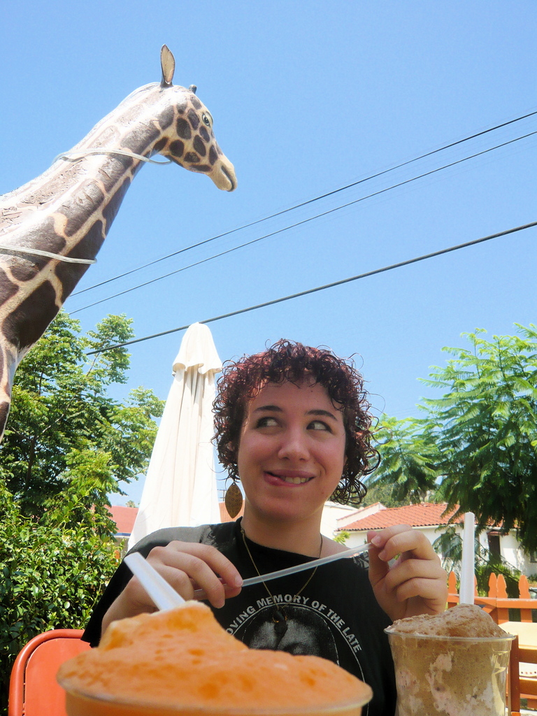 Giraffe Object Detection Dataset by ML