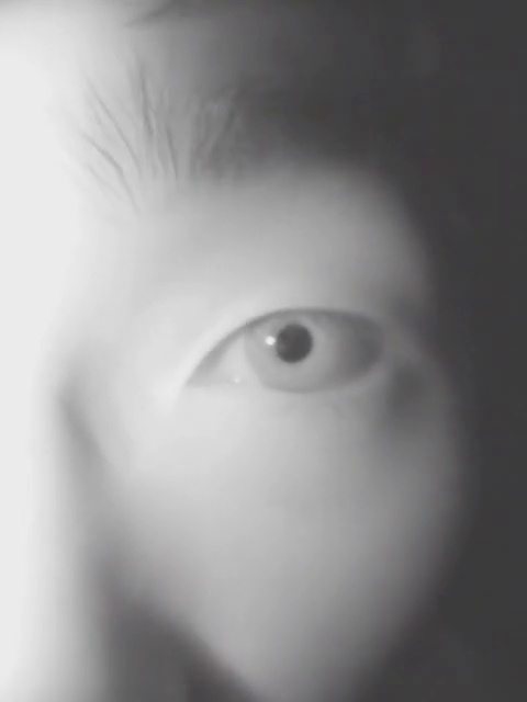 Eyes Object Detection Dataset And Pre Trained Model By City University