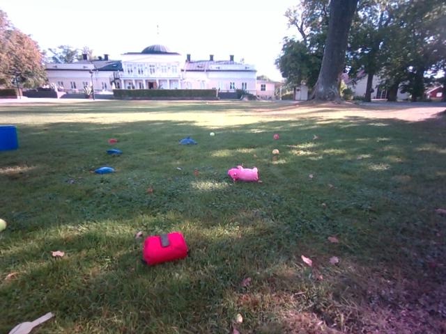 Object detection Object Detection Dataset and Pre-Trained Model by TDDE19