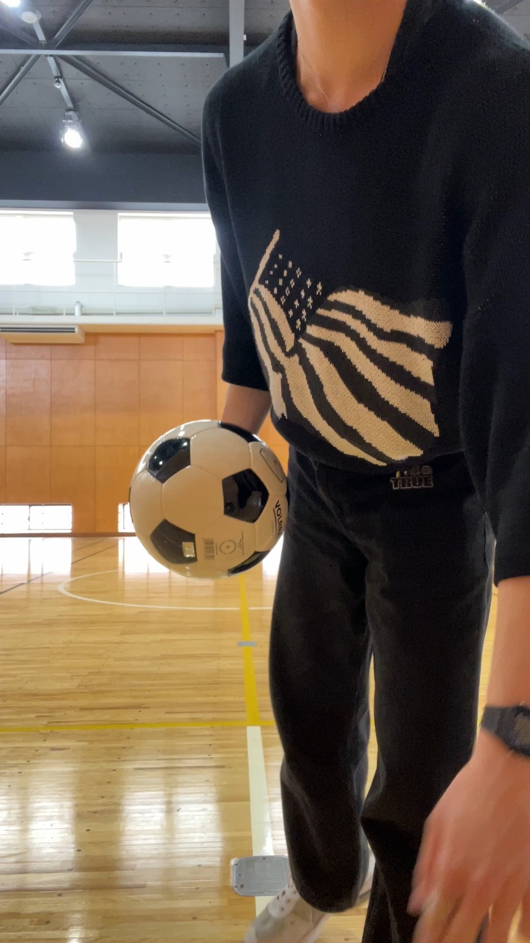 Ball Object Detection Dataset And Pre Trained Model By Ssss