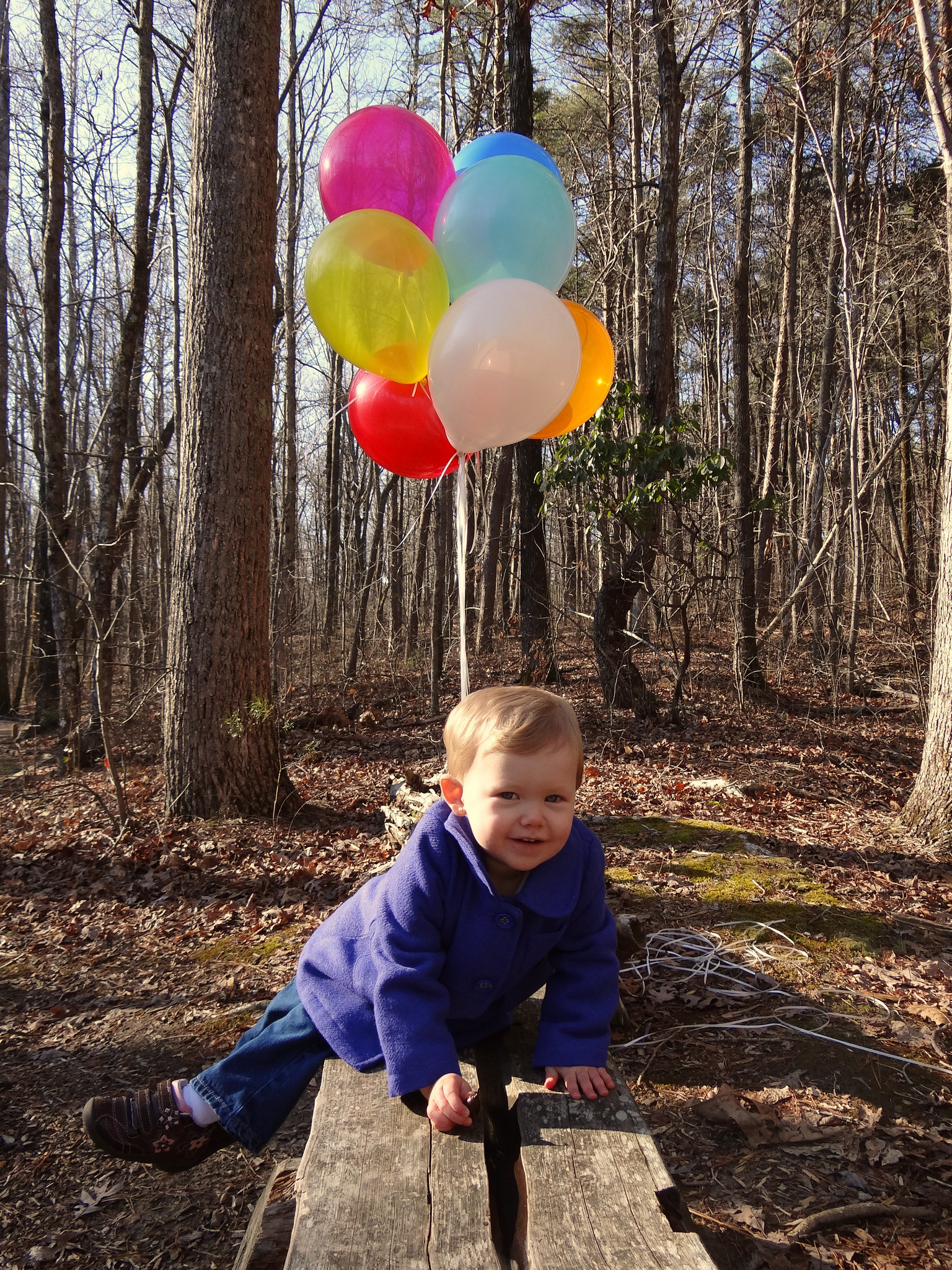 Balloon live Object Detection Model by Balloon