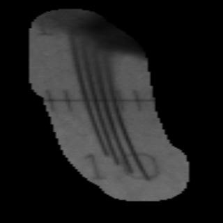 probe_keypoint_tracking Keypoint Detection Model by Ephys