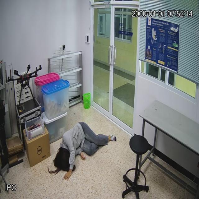 Fallen Detection Object Detection Dataset By Siren