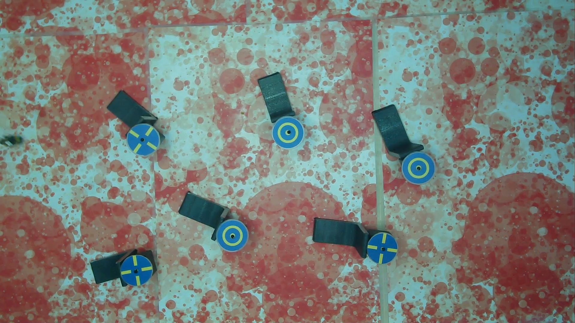 Bees_keypoints Keypoint Detection Dataset by Explorationfun