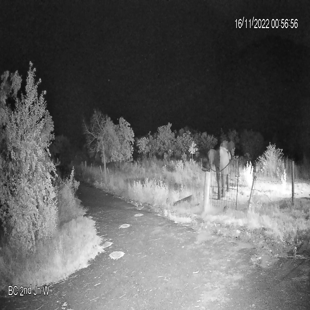 Wildlife Alert Object Detection Dataset by DLL Project