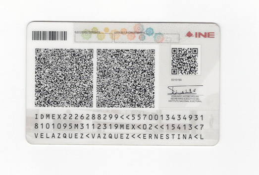 Card Instance Segmentation Dataset and Pre-Trained Model by BioEcoSys