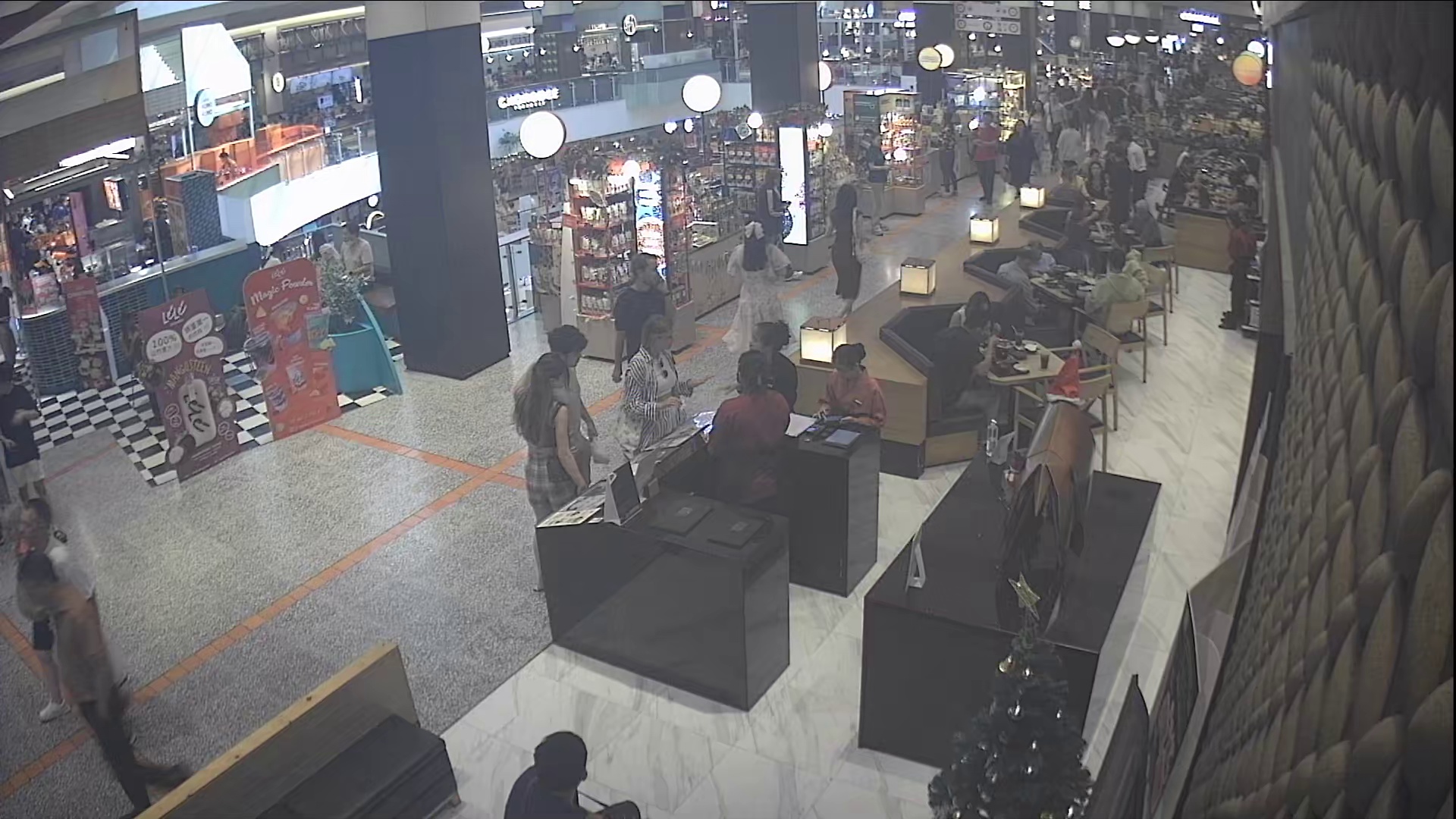 Momo Head Count Object Detection Dataset (v5, NBFD-v1.1.0-2025-01-08 3-47pm) by NBFD