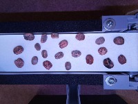 Coffee Gain Quality Inspection - Roboflow Universe