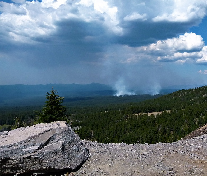 forest fire and smoke Object Detection Dataset by Master candidate