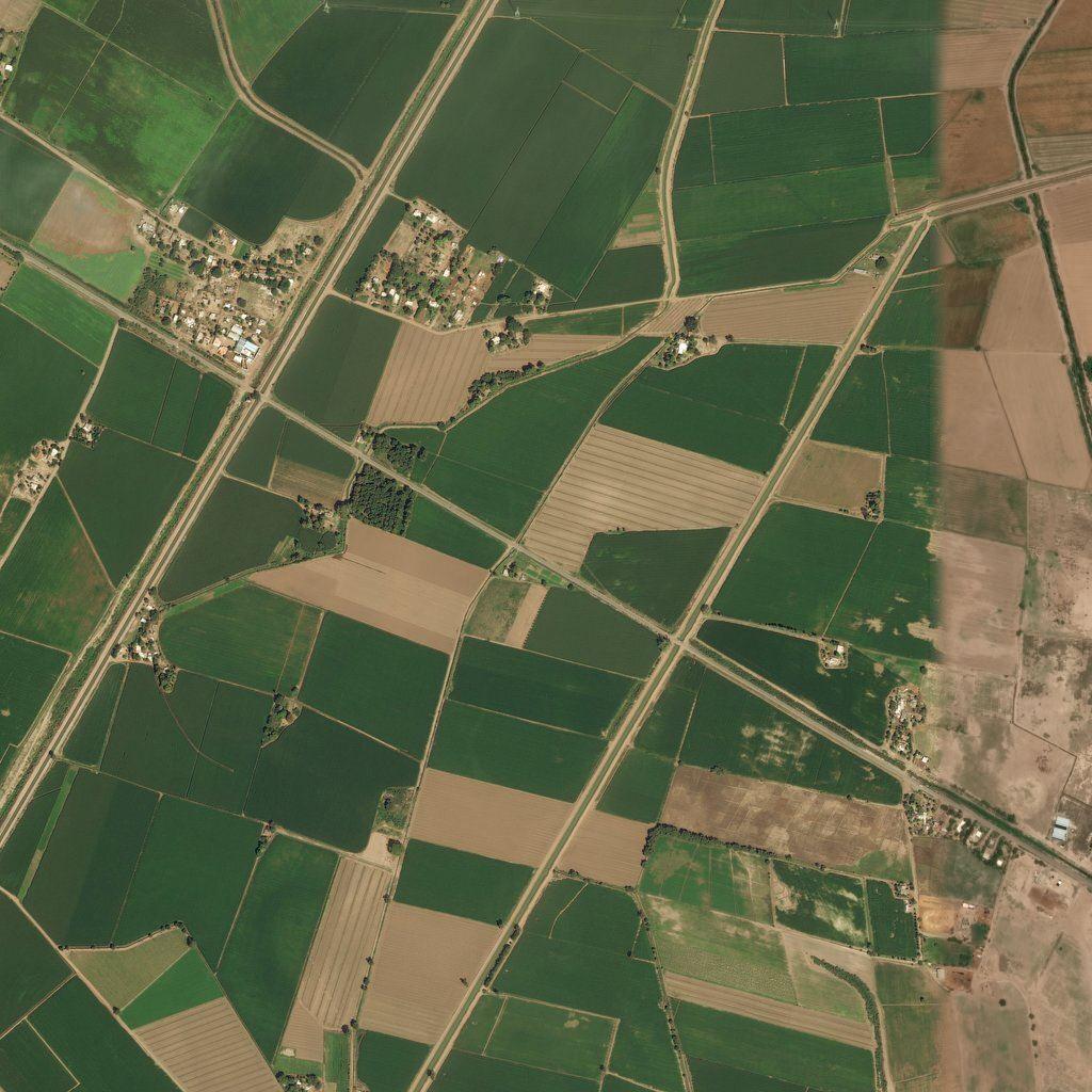 crop-boundaries Instance Segmentation Dataset and Pre-Trained Model by jonsworkspace