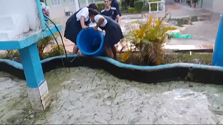 Proyecto Nemo Roboflow Universe