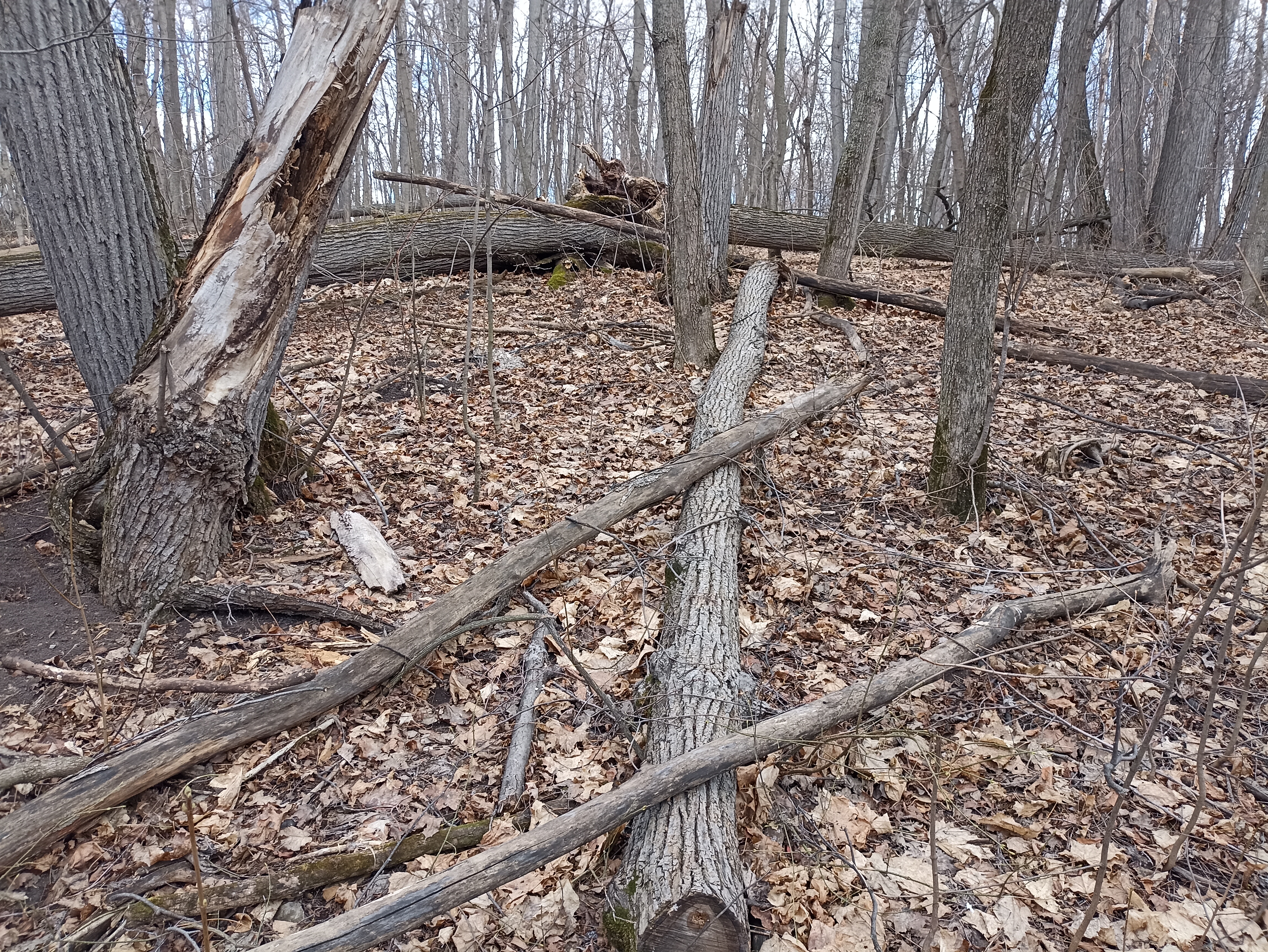 pulse scout Data set - Roboflow Universe