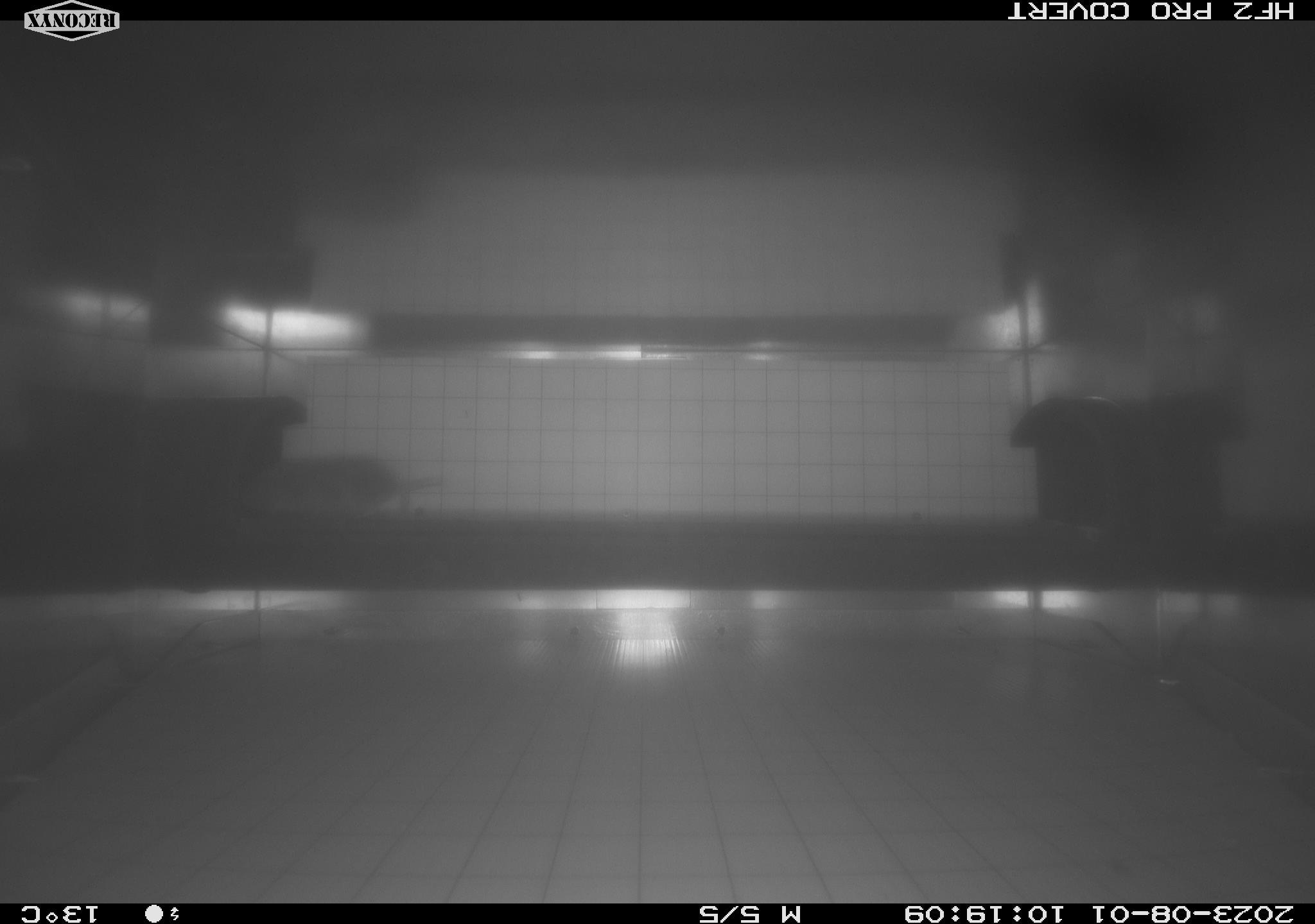 Small Mammals - Roboflow Universe