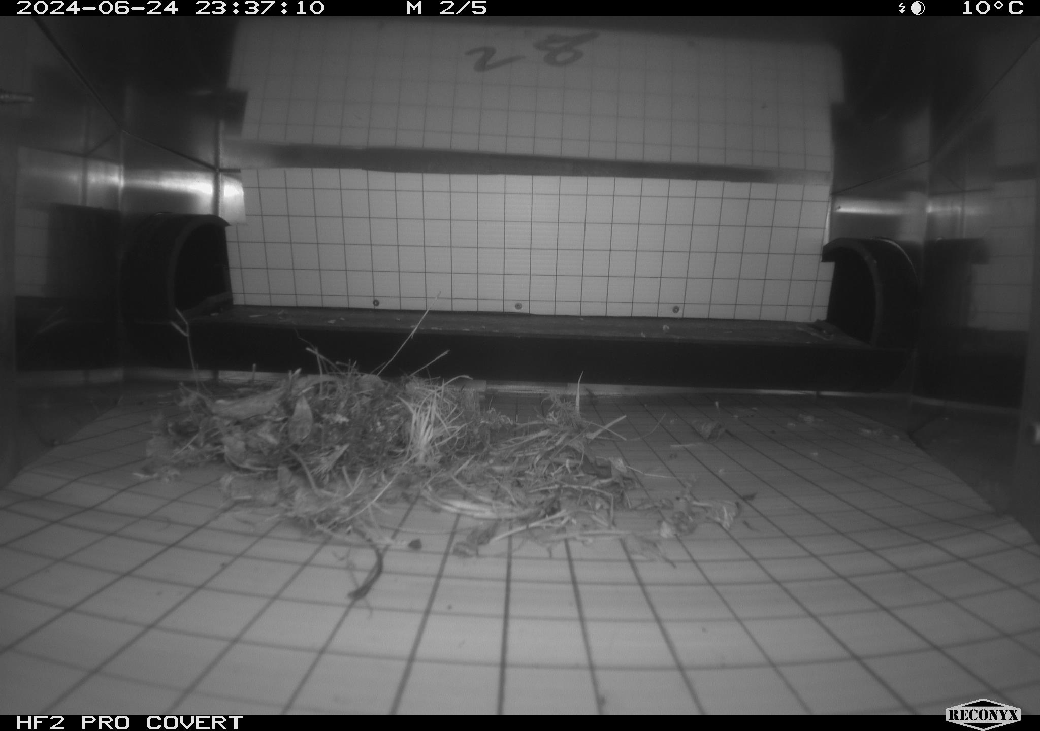 nest Object Detection Dataset by Small Mammals