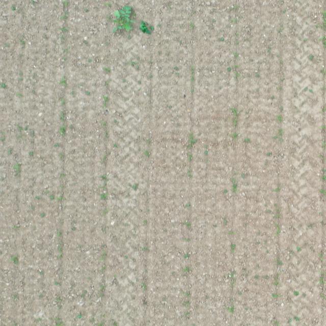 Weed Segmentation Weed Segmentation 44xdd Roboflow Universe