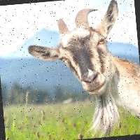 Goat Object Detection Model by goat