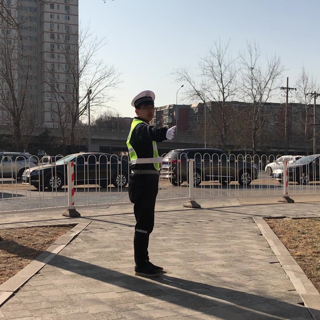 Gesture Recongnition Object Detection Dataset By Project Anz1l