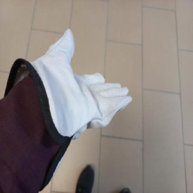 glove_detection Object Detection Dataset by project-n9aej