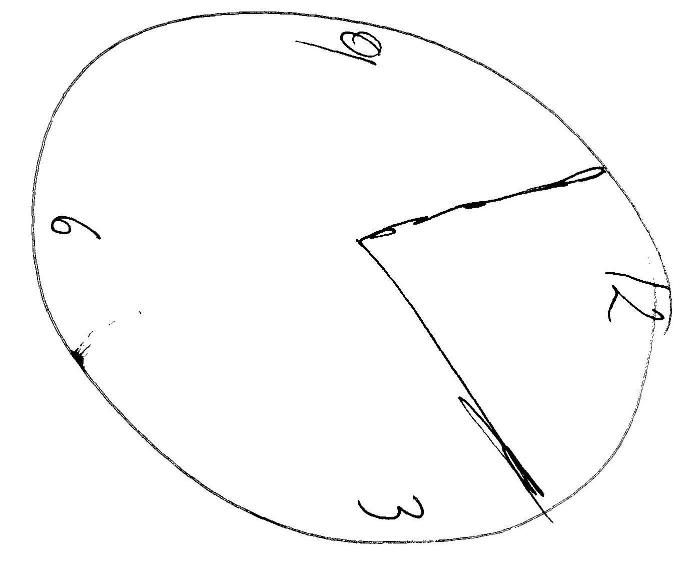 clock-rotatation-identification Classification Dataset by ClockDrawing