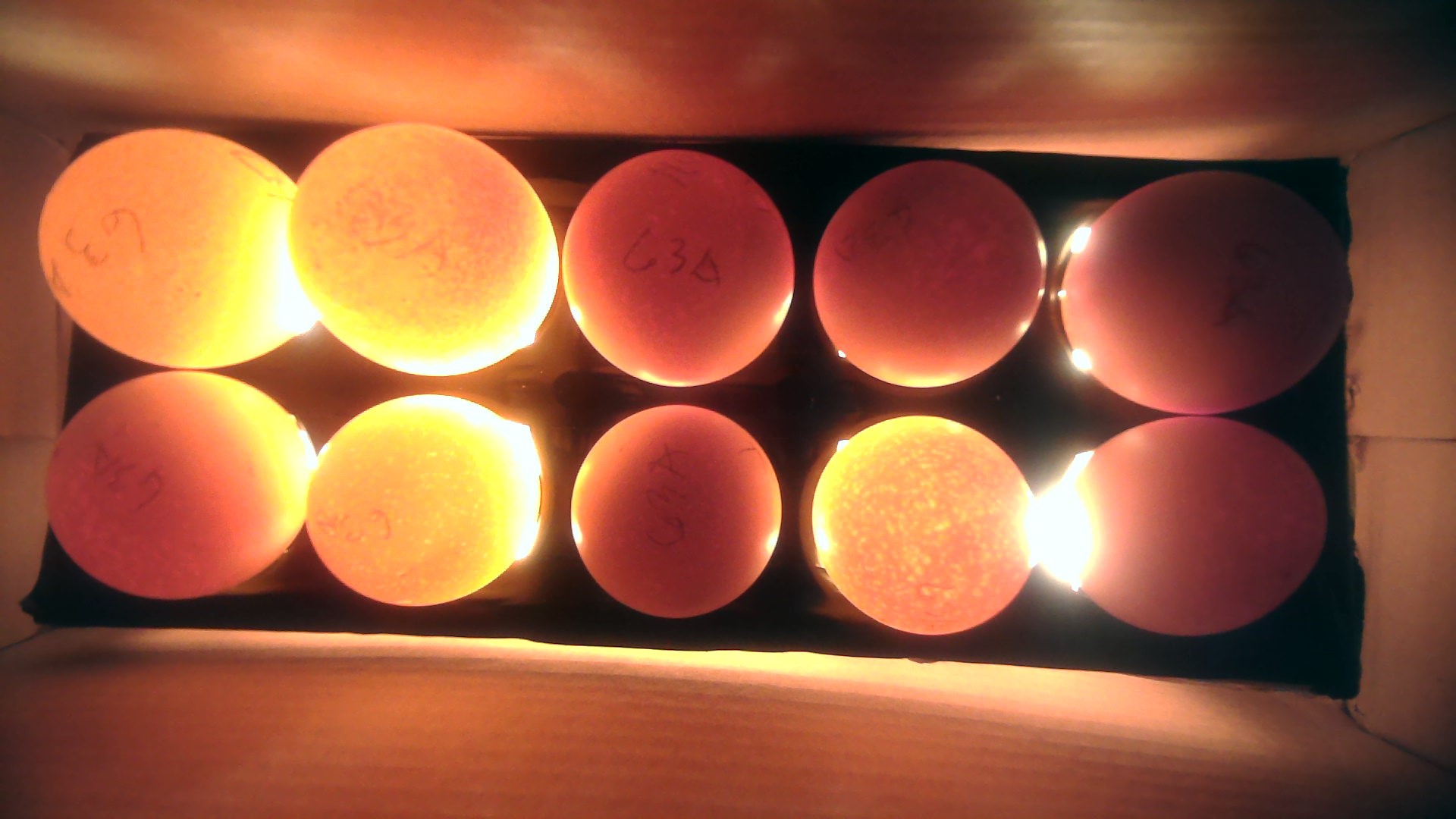 Kiki (kiki-r2cyr) - Roboflow Universe