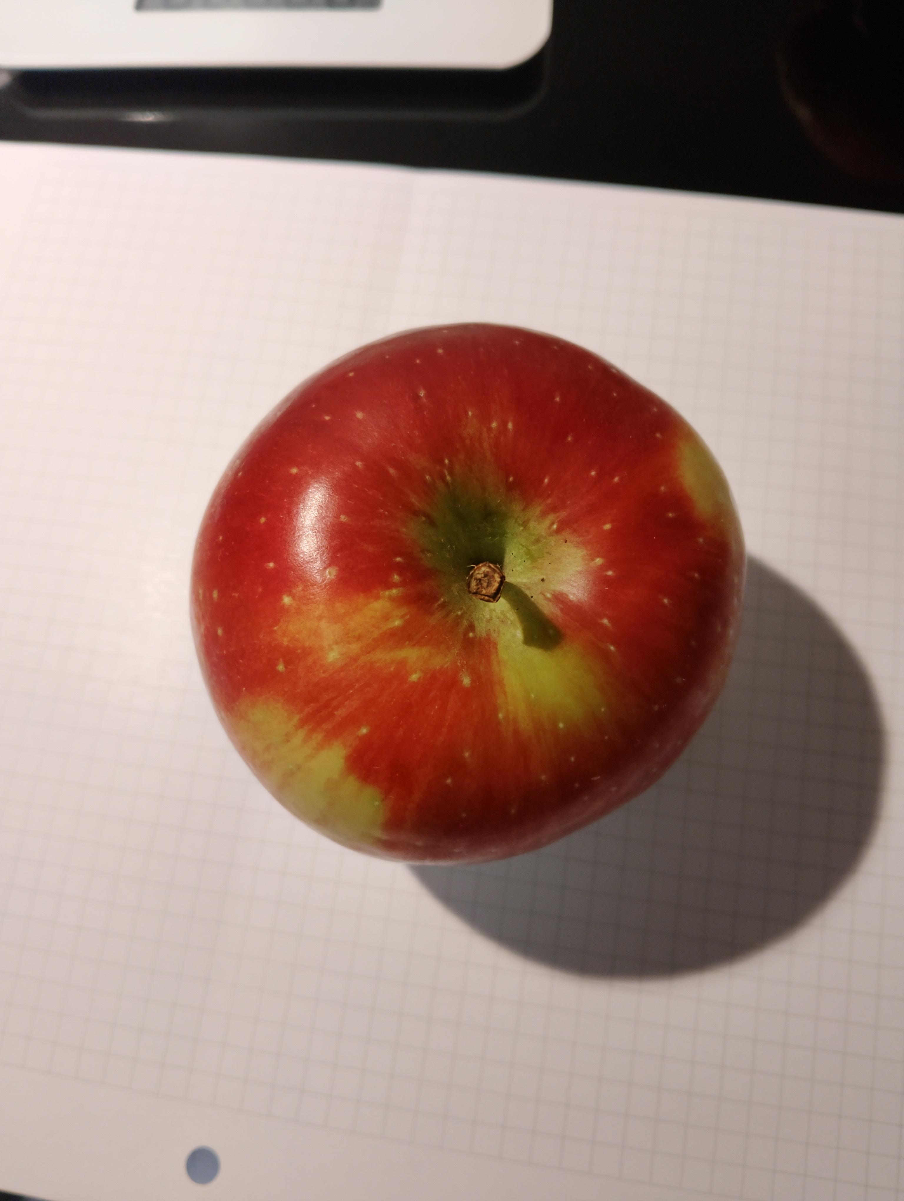 PML Instance Segmentation Dataset and Pre-Trained Model by PML