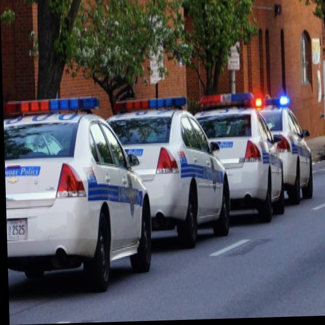 dog-cat-human-detector Object Detection Model by test