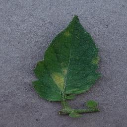 Project Base Learning - Roboflow Universe