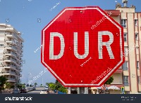 Autonomous Car (autonomous-car-8mv95) - Roboflow Universe