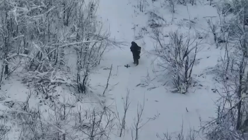 recognition Object Detection Dataset and Pre-Trained Model by temp