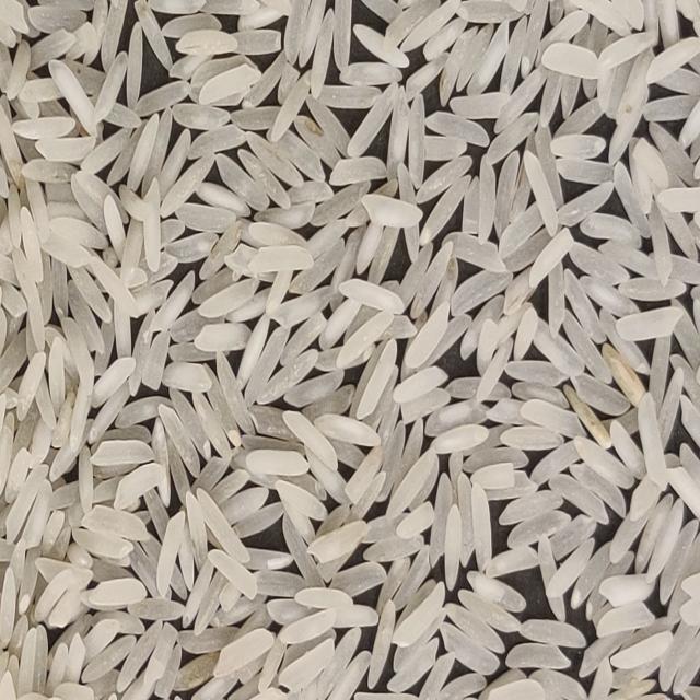 rice Classification Dataset and Pre-Trained Model by Rice