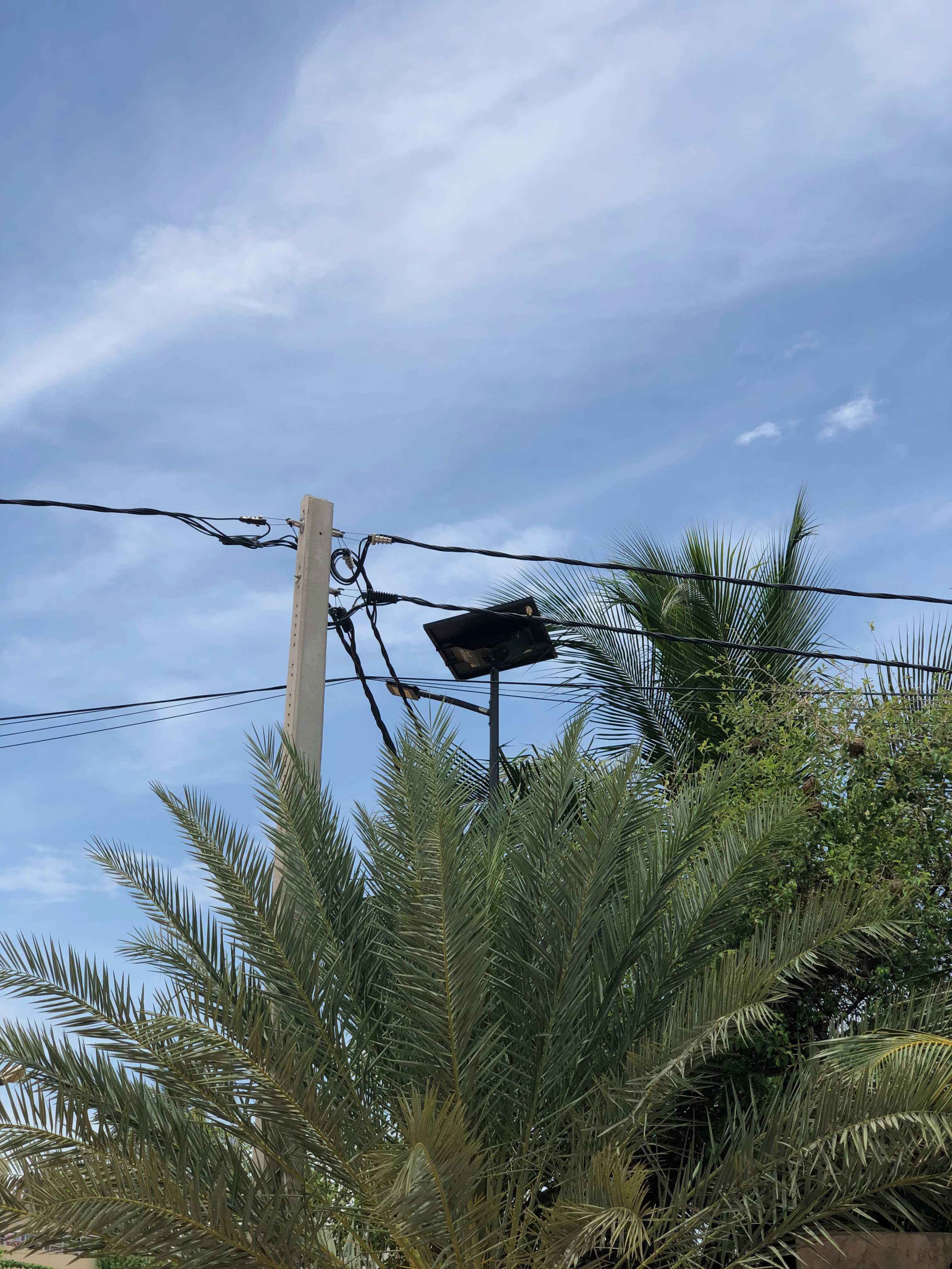 Spoid - Roboflow Universe