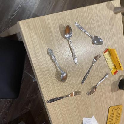 fork-spoon-segm Instance Segmentation Dataset and Pre-Trained Model by AML