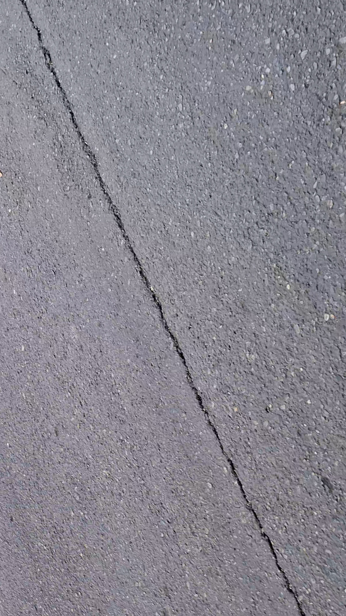 Vision Project Instance Segmentation Dataset by vision