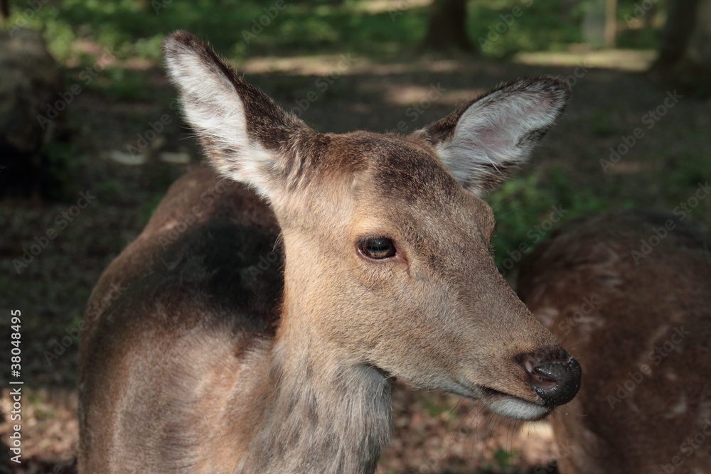 Testing (testing-excds) - Roboflow Universe