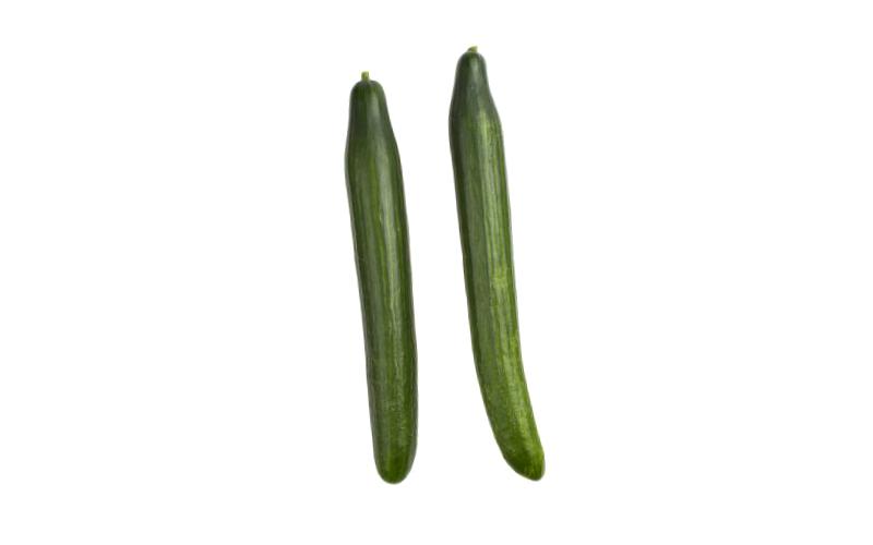 Cucumber Dataset Object Detection Dataset By New Workspace C1vsu