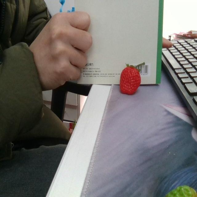 Object detection study Object Detection Dataset (v1, kbs strawberry ai ... Object detection study Object Detection Dataset (v1, kbs strawberry ai ...