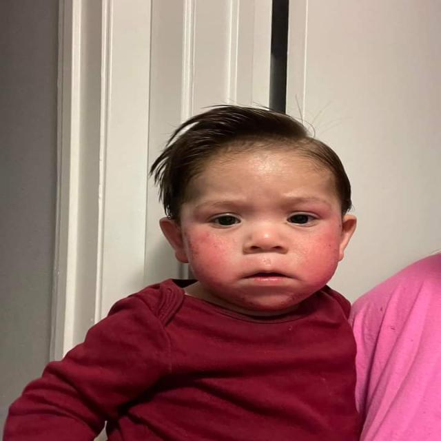 Project One Object Detection Object Detection Dataset By Cityeyelab