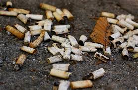 Cigarette Detecting Object Detection Model by EC