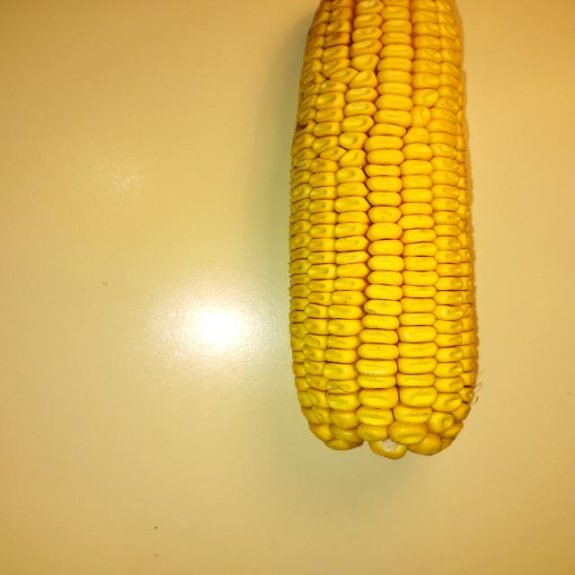 corn Object Detection Model by roboflow spider