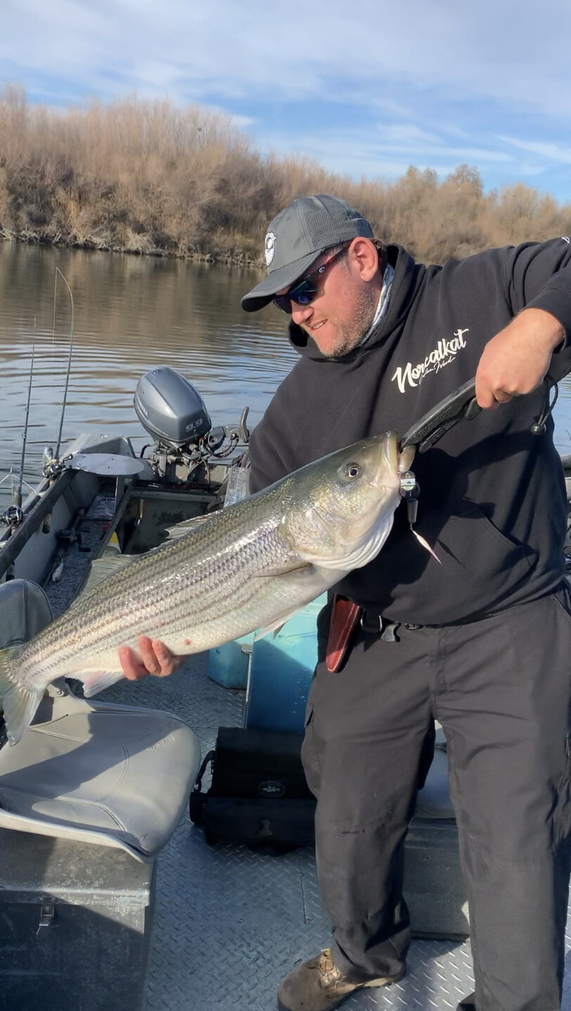 Bass Fish Detection Object Detection Dataset and Pre-Trained Model by ...