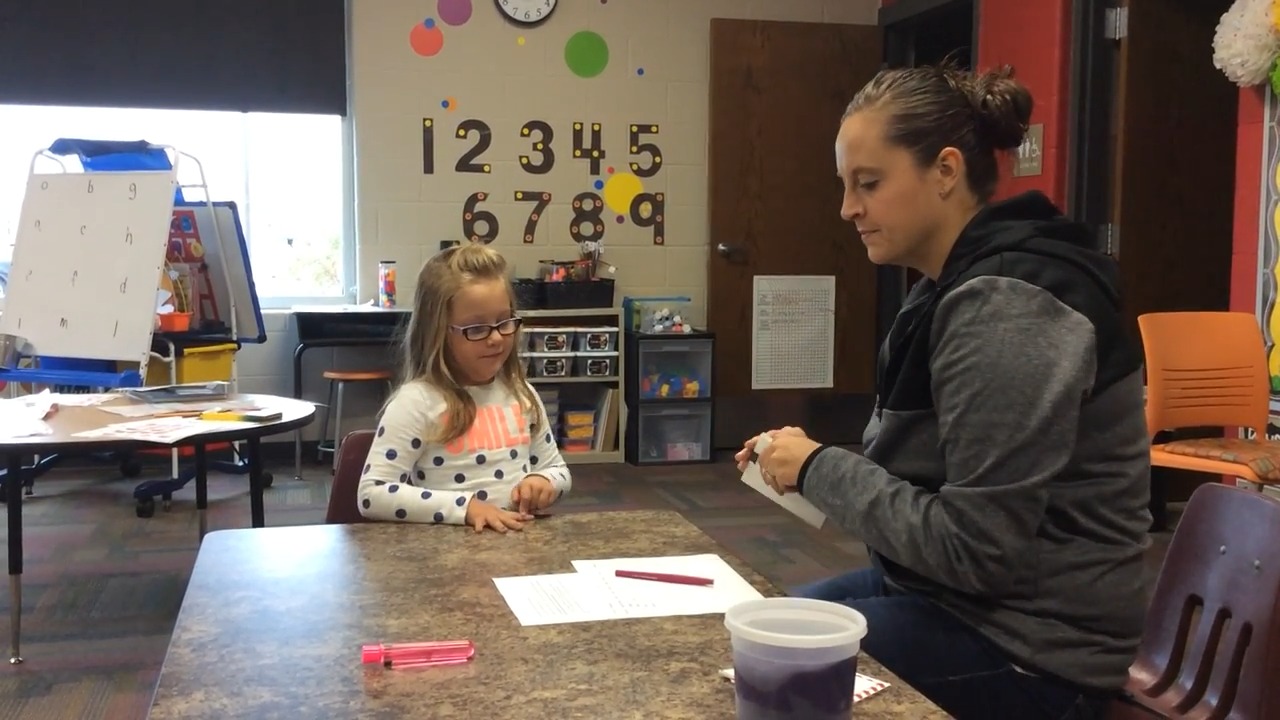 child and adult annotation Object Detection Dataset by Sanjay M