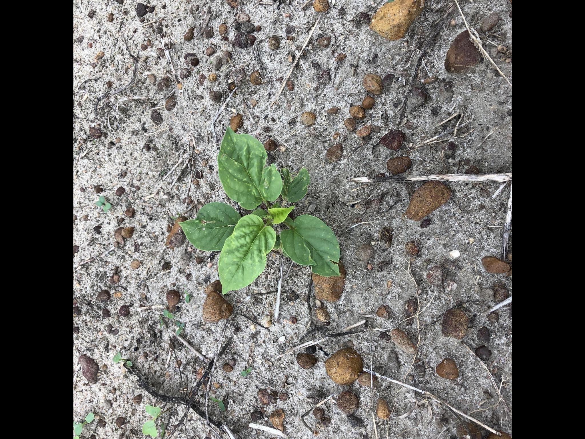 class:learning-segmentation | Roboflow Universe Search