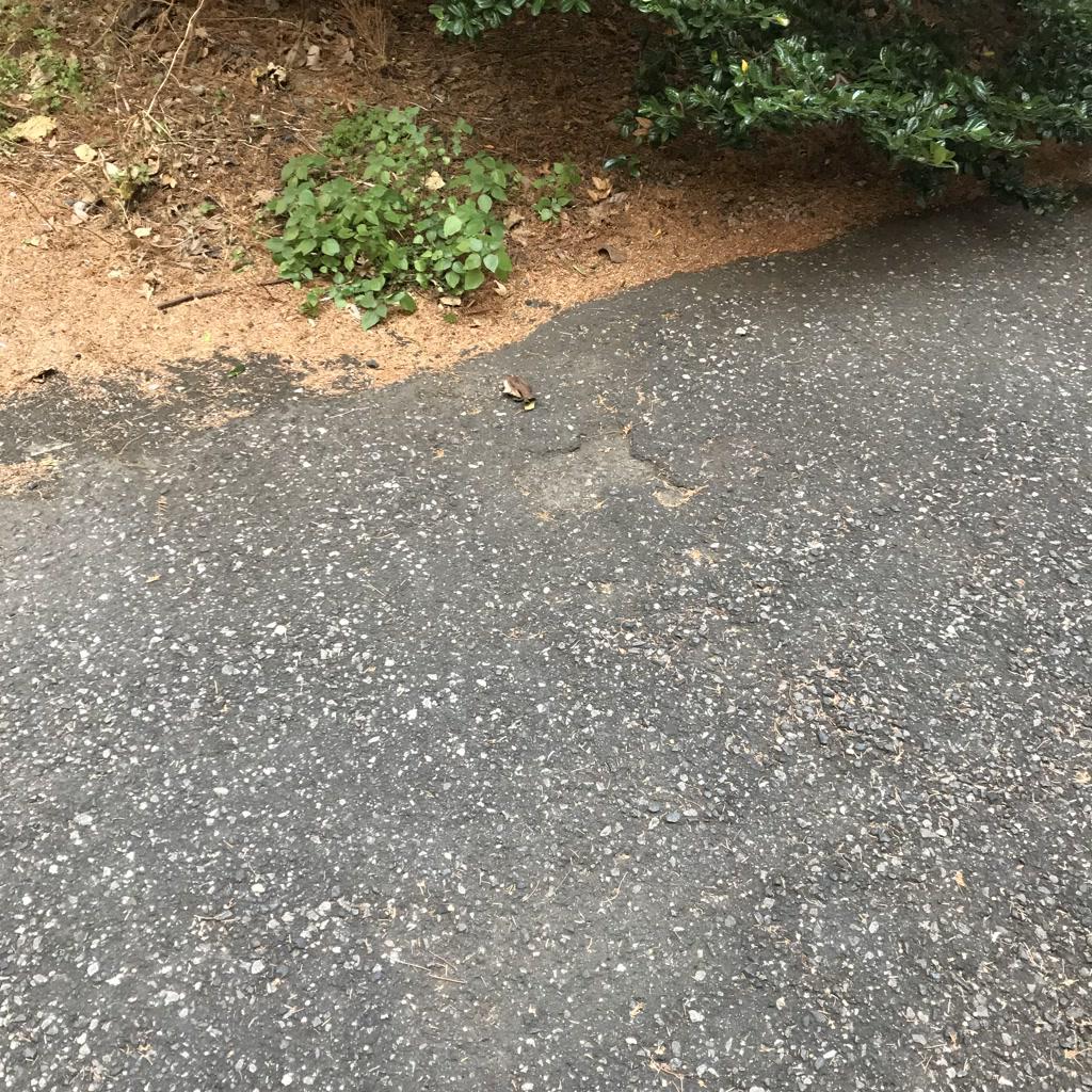 rdd Object Detection Dataset by jk