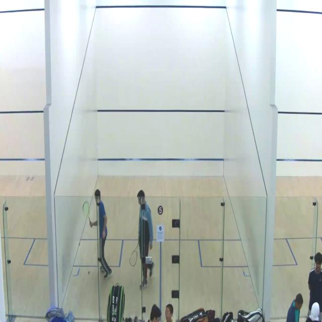 Squash Ball Object Detection Dataset by DCube Tech