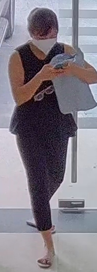 bbox_person Object Detection Dataset by personattribute