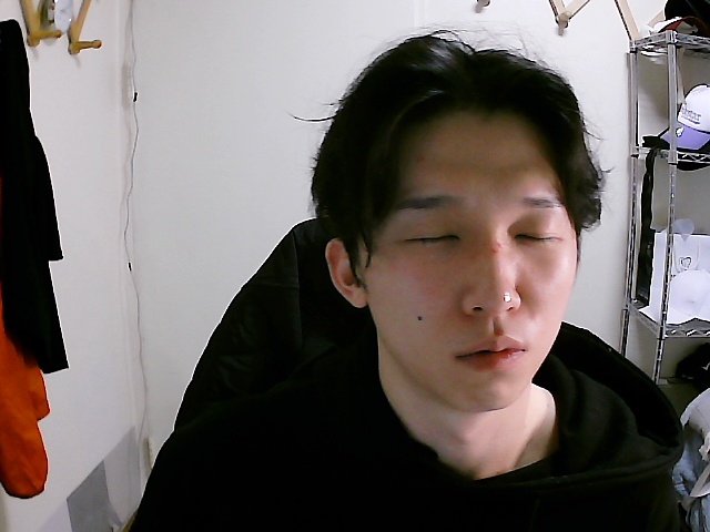 Driver drowsiness detection Object Detection Dataset and Pre-Trained Model by GF