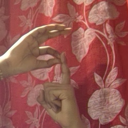 Hand Guster Regonisation Classification Dataset and Pre-Trained Model ...