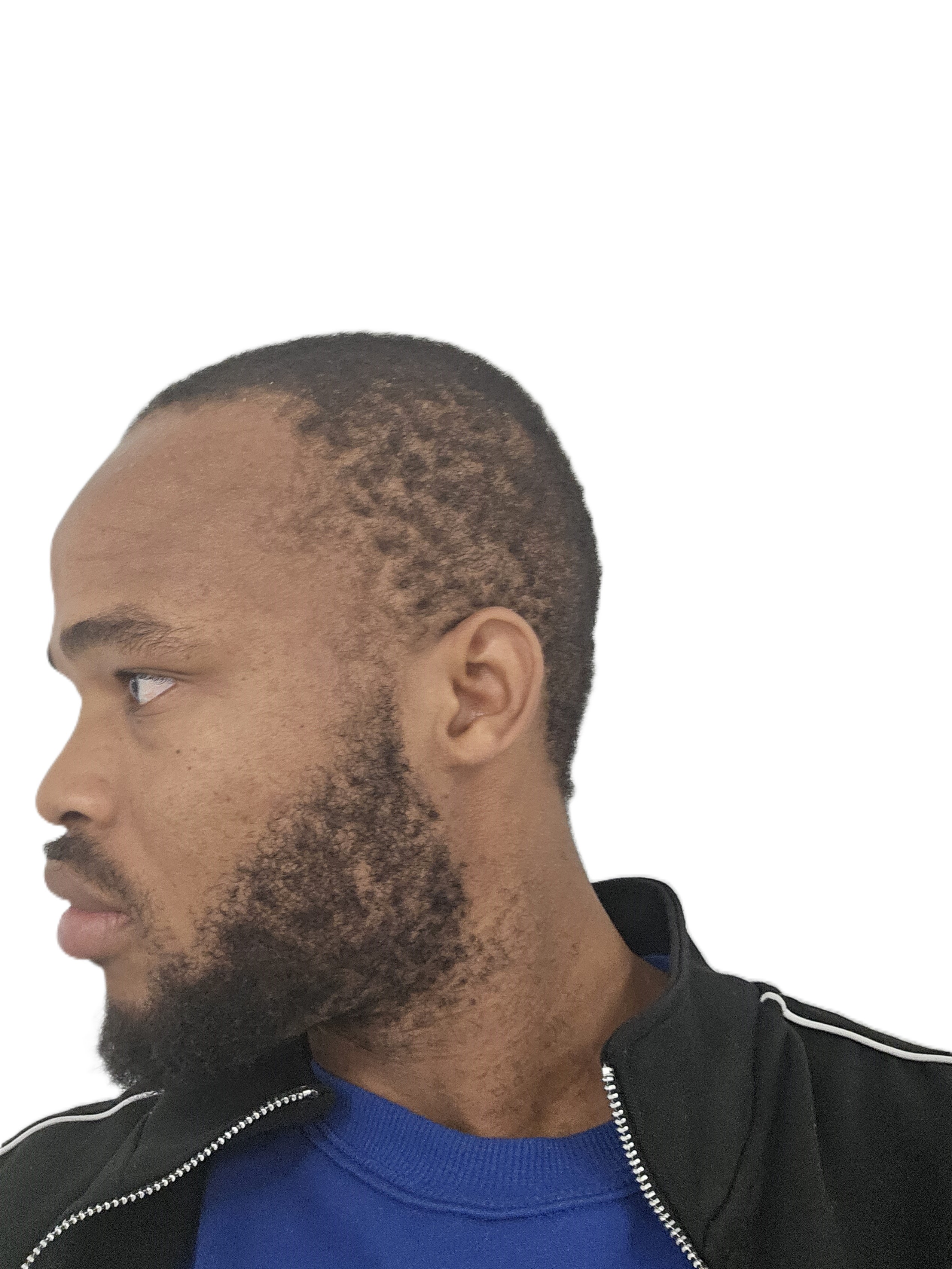 AIDA CAPSTONE Object Detection Dataset and Pre-Trained Model by Bola