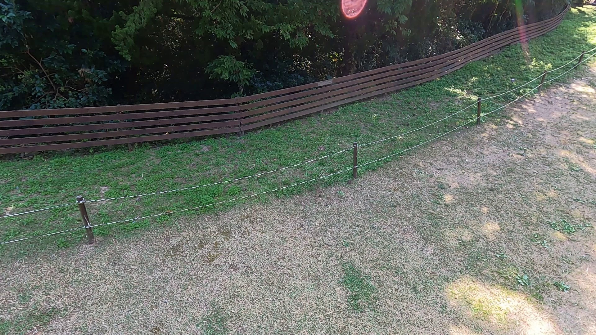 Garbage Detection Object Detection Dataset By Prometheuscctv